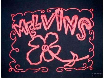 File:Flower-shirt.jpg - MelvinsWiki